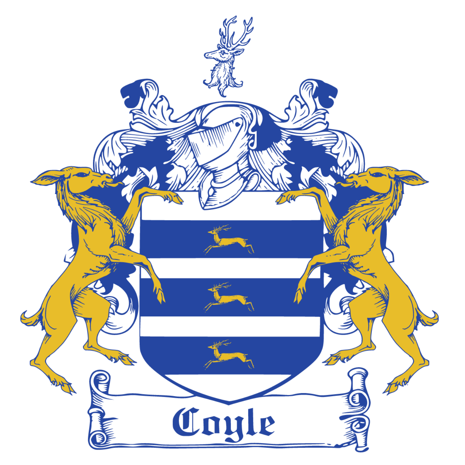 Coyle History – Coyle Surname History Project